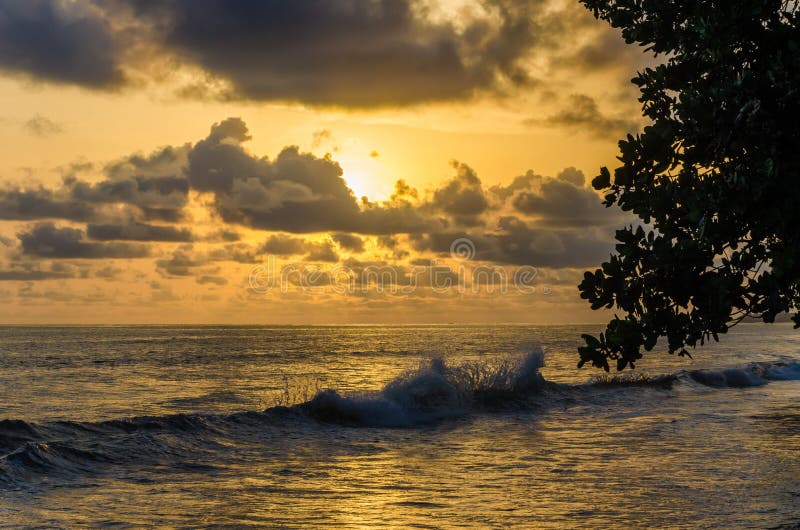 Dramatic Coast with Rocky Volcanic Beach, Green Tree, Waves and Amazing ...