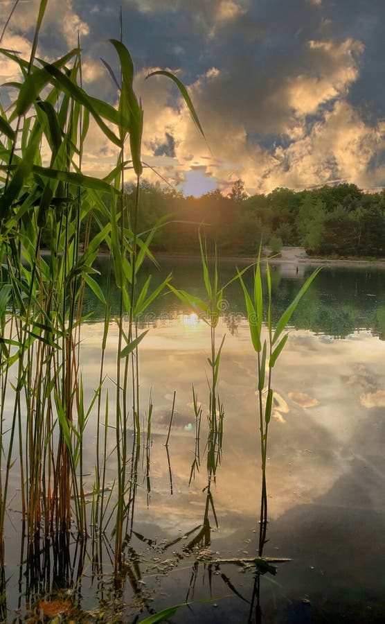 Dramatic Sunset Over a Body of Water Surrounded by Trees Stock Photo ...
