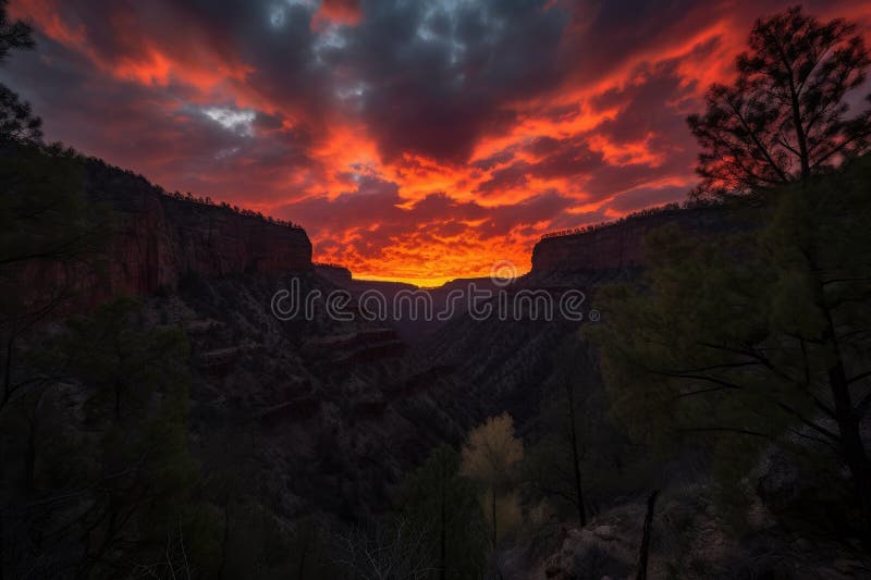 Dramatic Sunset Over Canyon, with Fiery Sky and Silhouetted Trees Stock ...