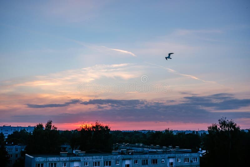 Dramatic Sunset Over the City Rooftops Stock Photo - Image of sunset ...