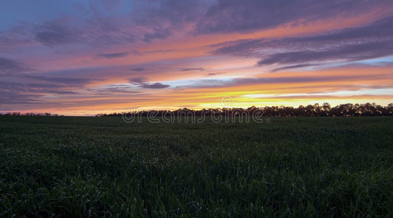 Dramatic Sunset Over the Field Stock Image - Image of countryside ...