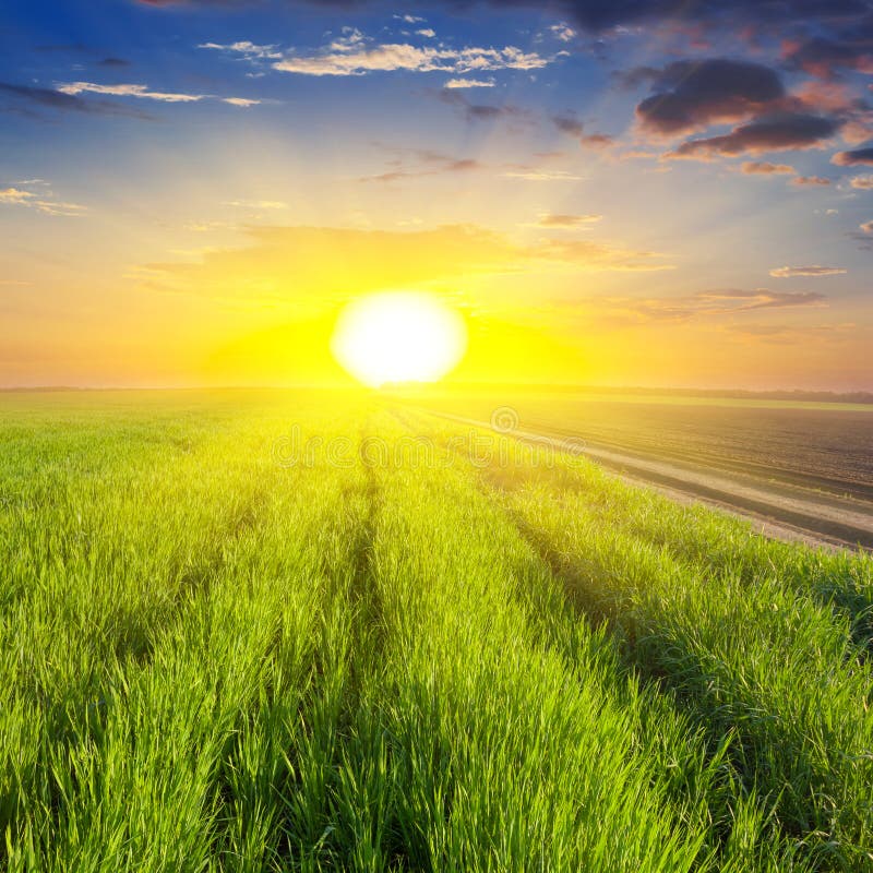 Dramatic Sunset Over a Fields Stock Photo - Image of boundless ...