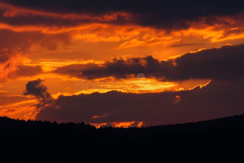 Dramatic Sunset Over the Forest Stock Image - Image of dusk, landscape ...
