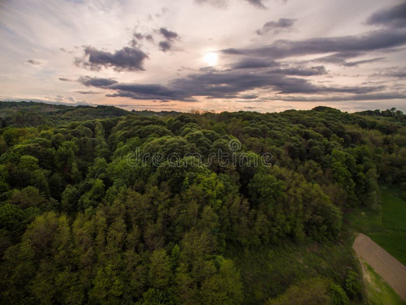 Dramatic Sunset Over Green Forest Stock Photo - Image of tree, summer ...