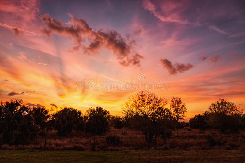 Rural Florida Landscape Setting Stock Photo - Image of picket, farm ...
