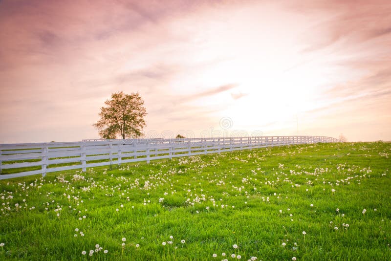 Country Road Sunset stock image. Image of farmland, sunset - 10940251