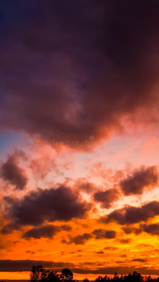 Dramatic Sunset Sky and Forest Silhouette Stock Image - Image of ...