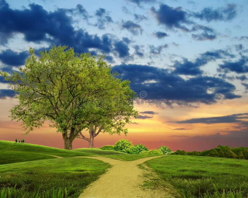 Dramatic Sunset Sky Green Field and Trees Nature Landscape Stock Photo ...