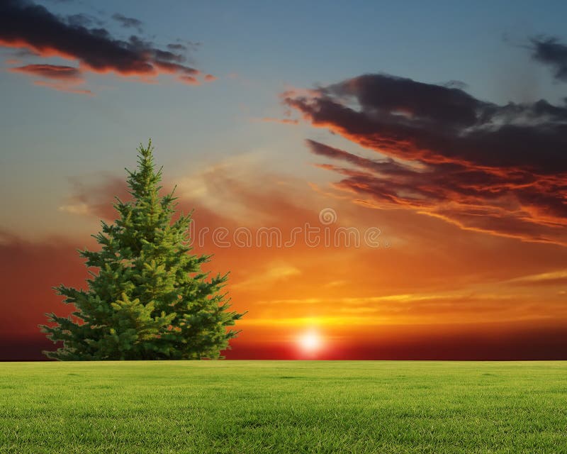 Dramatic Sunset Sky Green Field and Trees Nature Landscape Stock Image ...