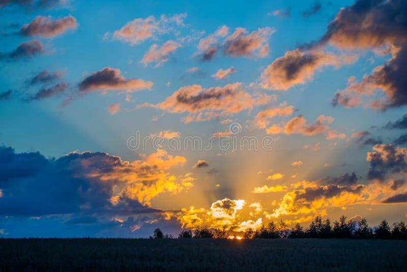 Dramatic Sunset Sky Near Forest Stock Photo - Image of dawn, blue ...