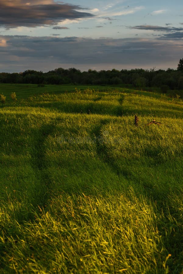 Dramatic Sunset on the Summer Field Stock Photo - Image of path ...
