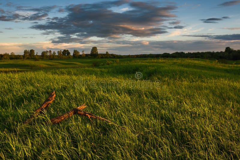 Dramatic Sunset on the Summer Field Stock Image - Image of idyllic ...
