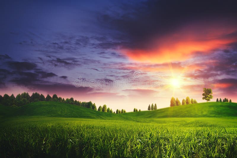 Dramatic Sunset on the Summer Meadow Stock Photo - Image of park, herbs ...