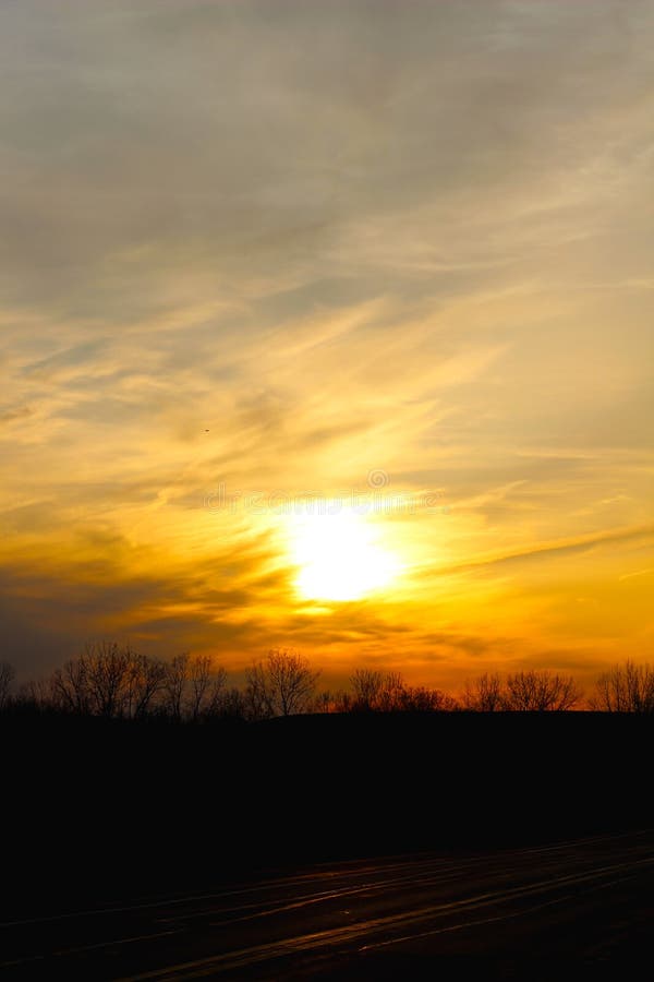 Dramatic Sunset with Tree Branches Stock Photo - Image of black, dawn ...