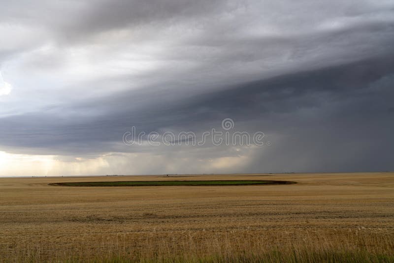 Dramatic Supercell Storm Clouds Gathering Over Harvested Wheat Field Stock Image - Image of ...