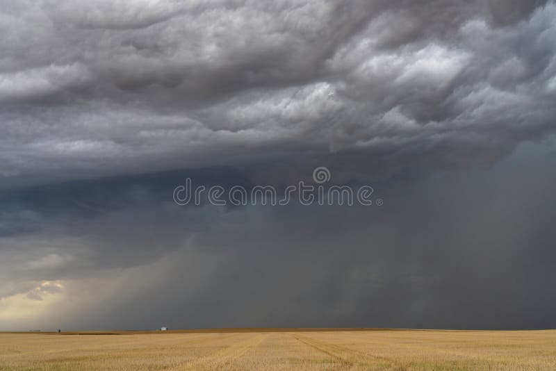 Dramatic Supercell Storm Clouds Gathering Over Wheat Field Stock Image ...