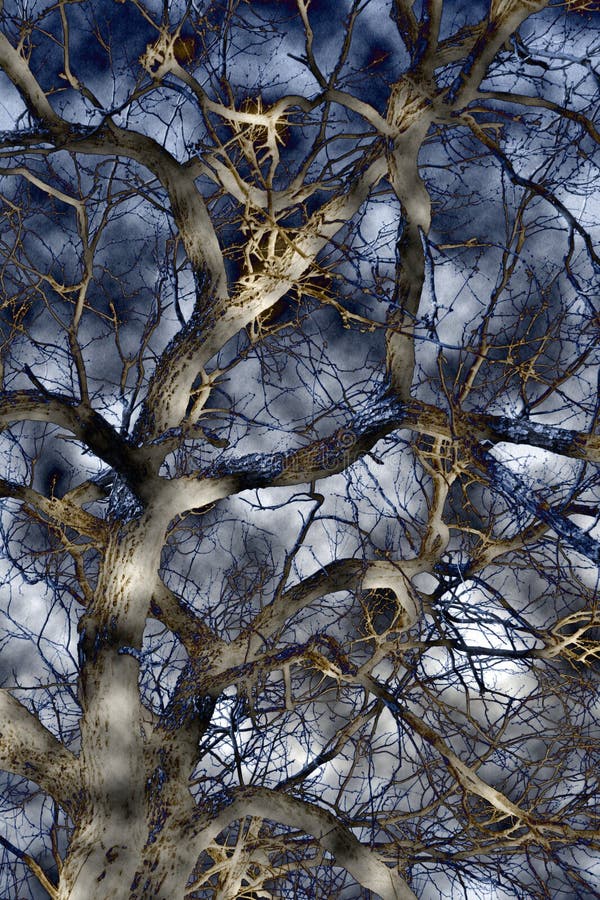 Dramatic Tree and Sky Beyond Stock Photo - Image of lighting ...