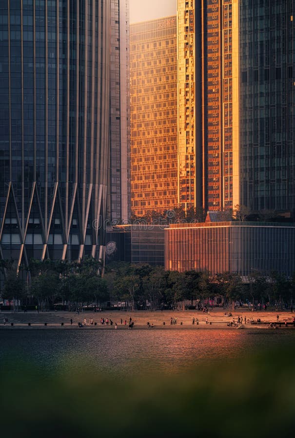 Dramatic Vertical Shot of Modern Buildings at the Golden Hour at the ...