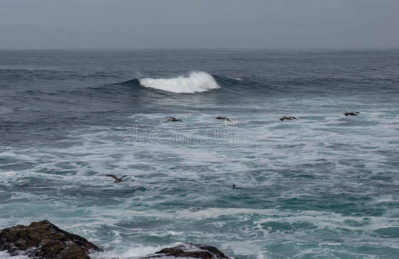 Dramatic waves stock photo. Image of storm, heavy, surf - 83633114