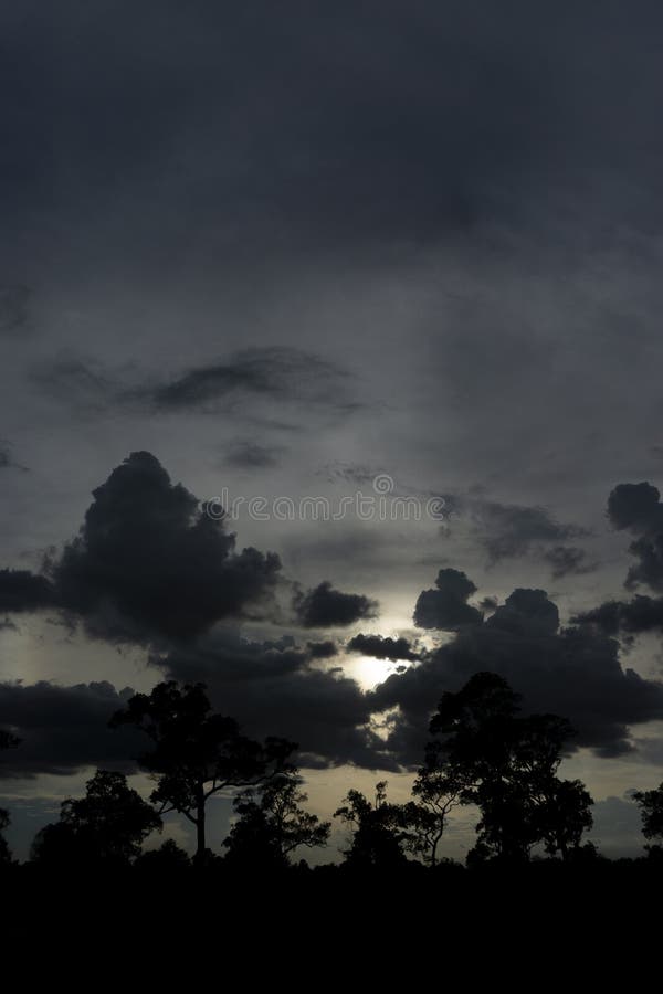 Dramatic Weather Clouds Forming Over Rice Fields and Native Trees at ...