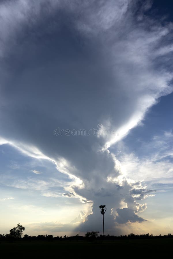 Dramatic Weather Clouds Forming Over Rice Fields and Native Trees at ...