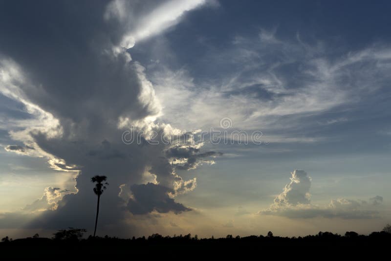 Dramatic Weather Clouds Forming Over Rice Fields and Native Trees at ...