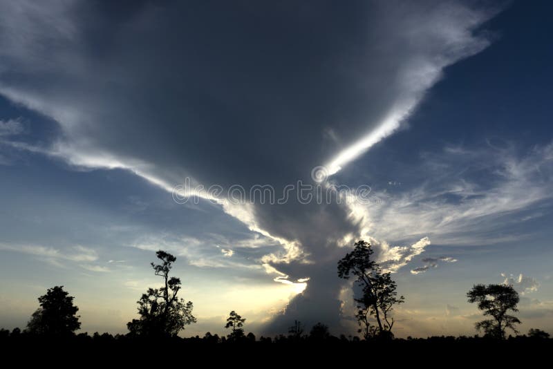 Dramatic Weather Clouds Forming Over Rice Fields and Native Trees at ...