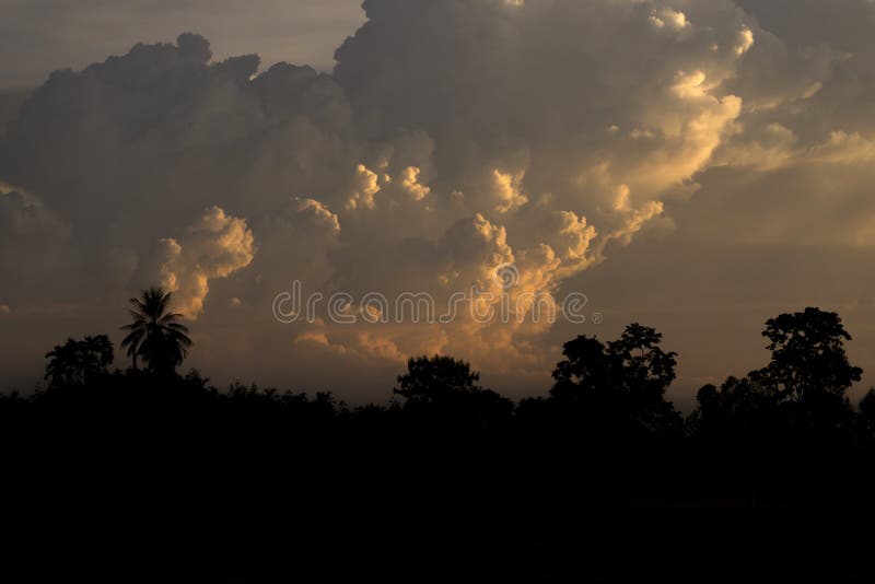 Dramatic Weather Clouds Forming Over Rice Fields and Native Trees at ...