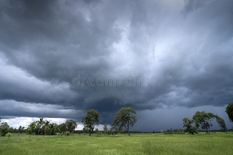 Dramatic Weather Clouds Forming Over Rice Fields during Rainy Season ...