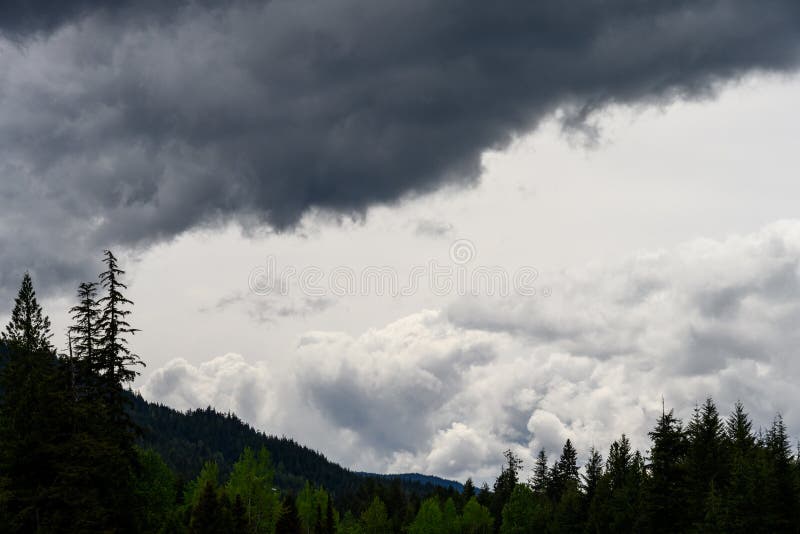 Dramatic Weather in the Mountains, Stormy Clouds and Tree Silhouettes ...
