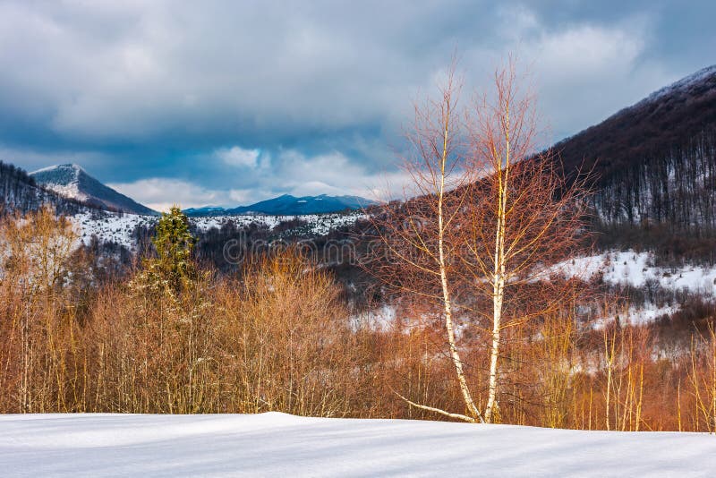 Dramatic Winter Landscape in Mountains Stock Image - Image of winter ...