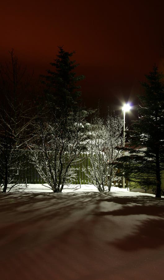 Dramatic winter night stock photo. Image of garden, dramatic - 524572