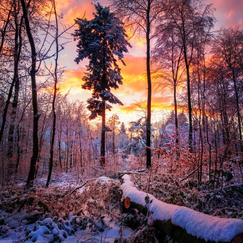 Dramatic sunset cloudscape stock photo. Image of dreamy - 20813362