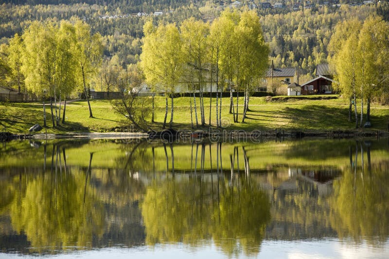 Drammen river stock photo. Image of tree, green, water - 20718664