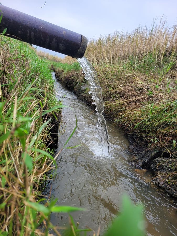 Draning stock photo. Image of trail, canal, tree, wetland - 341208116