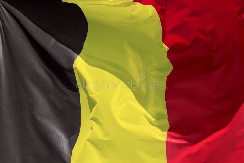 Drapeau Belge Dans Le Vent Sur Un Fond Blanc Image stock - Image of ...