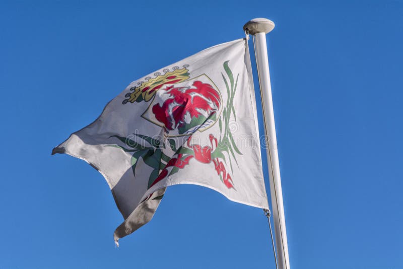 Drapeau de Nice photo stock. Image du france, nissa, indicateur - 94019460