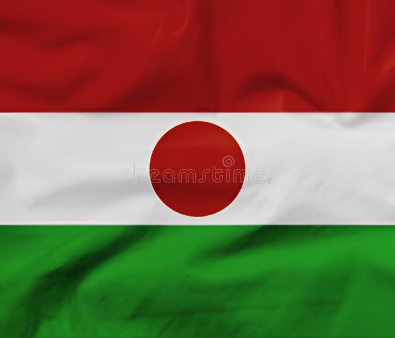 Drapeau national du niger illustration stock. Illustration du ...