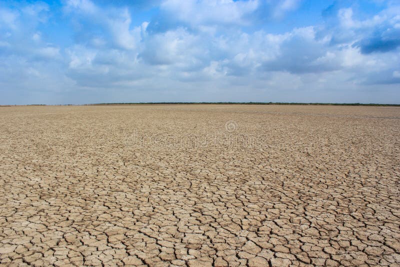 Draught stock photo. Image of biosphere, reserve, mends - 55536446