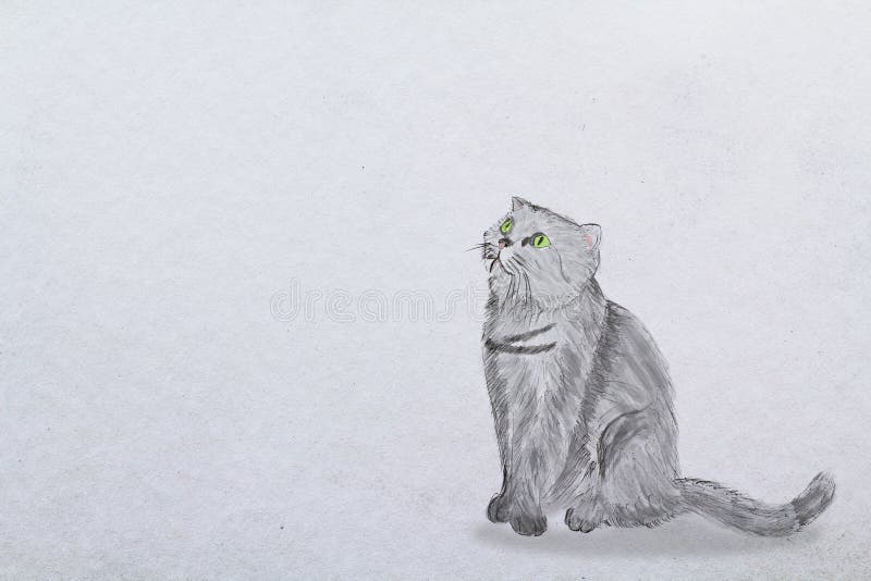 Draw Cat on Dirty Cardboard. Stock Illustration - Illustration of ...