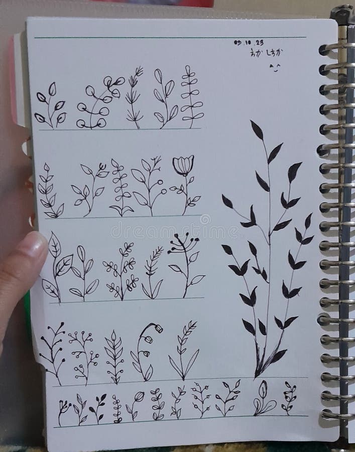 Draw Leaves that I Like, Simple Drawing Stock Photo - Image of simple ...