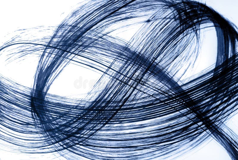 Draw a Lot of Thin Lines. Human Developing Hair. Tail Energy from the ...