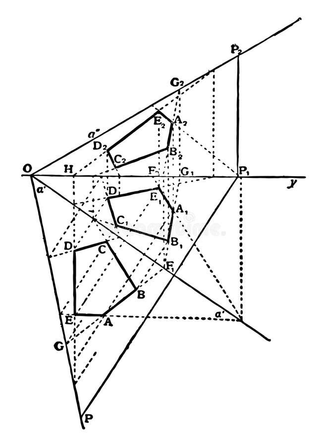 Draw Polygon Vintage Illustration Stock Vector - Illustration of ...