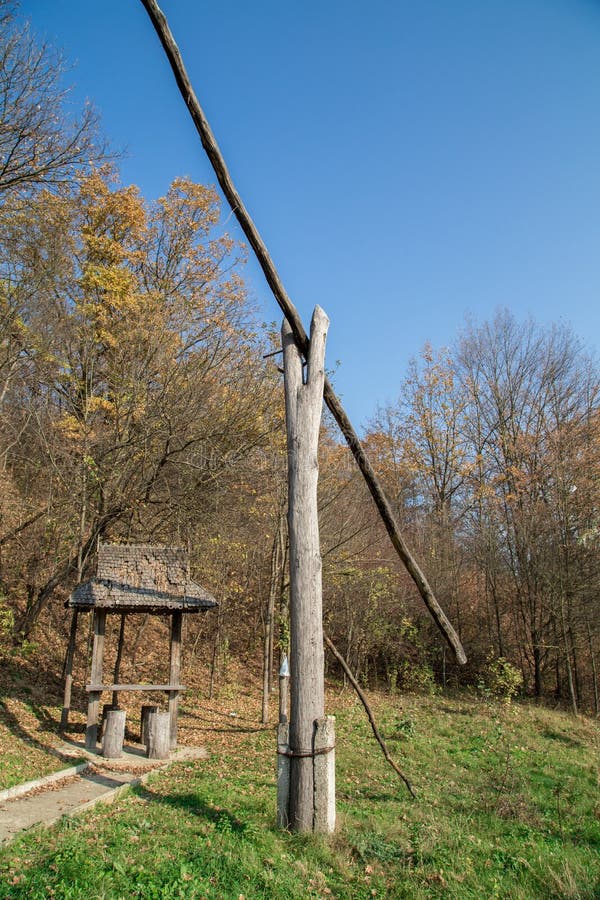 The bower in the forest stock photo. Image of green - 122031856