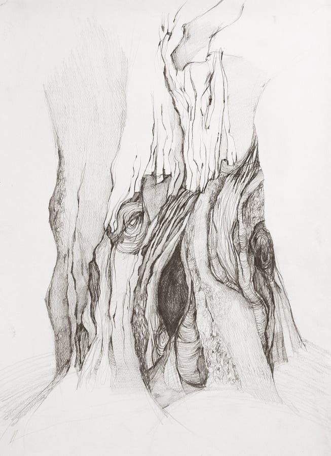 A drawing of a tree stock illustration. Illustration of hatching - 11528150