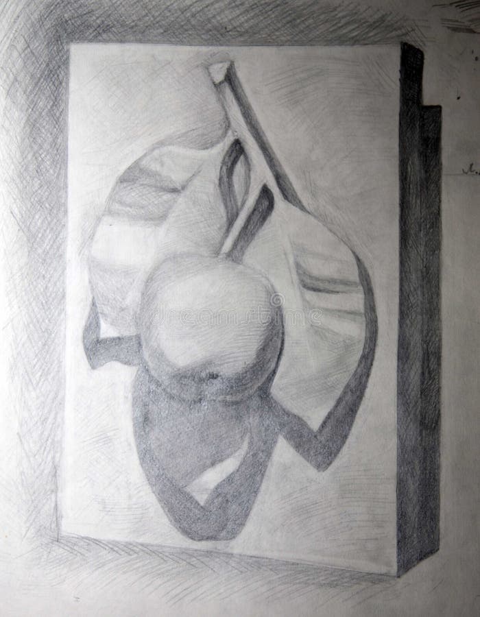 Drawing academic apple stock illustration. Illustration of sketching ...