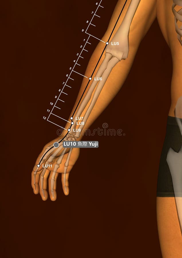 Lu10 Stock Illustrations – 8 Lu10 Stock Illustrations, Vectors ...