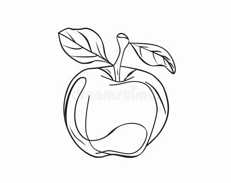 Drawing of Apple Fruit. Half of Apple Outline Modern Illustration Stock ...