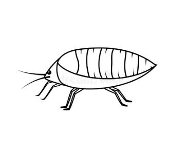 Aphid Stock Illustrations – 1,187 Aphid Stock Illustrations, Vectors ...
