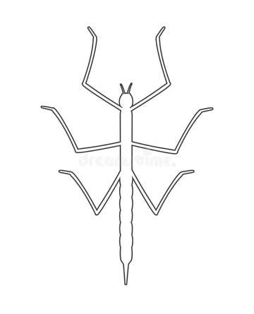 Waterbug Stock Illustrations – 44 Waterbug Stock Illustrations, Vectors ...